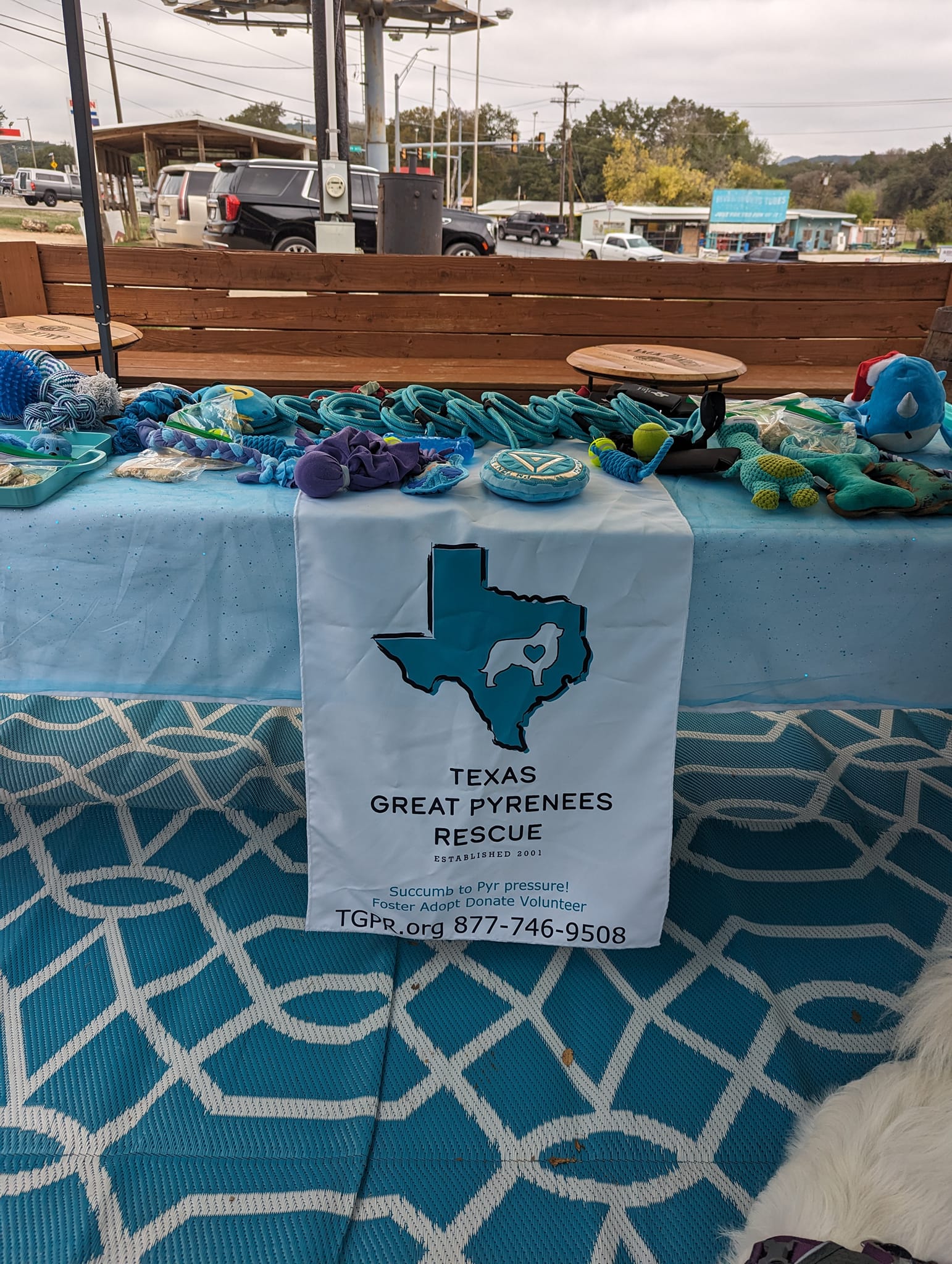 Gallery - Stomping Ground Ventures Inc