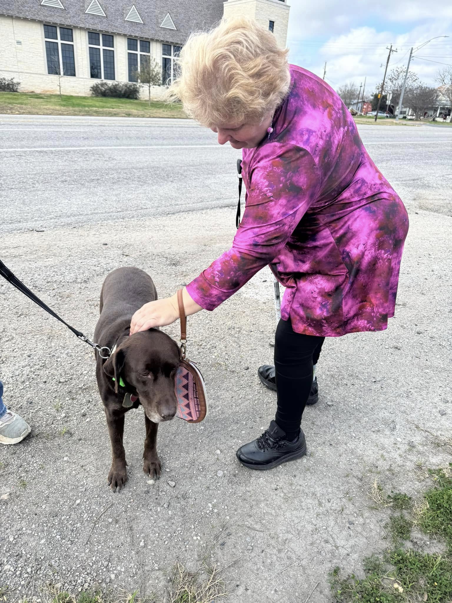 Gallery - Stomping Ground Ventures Inc